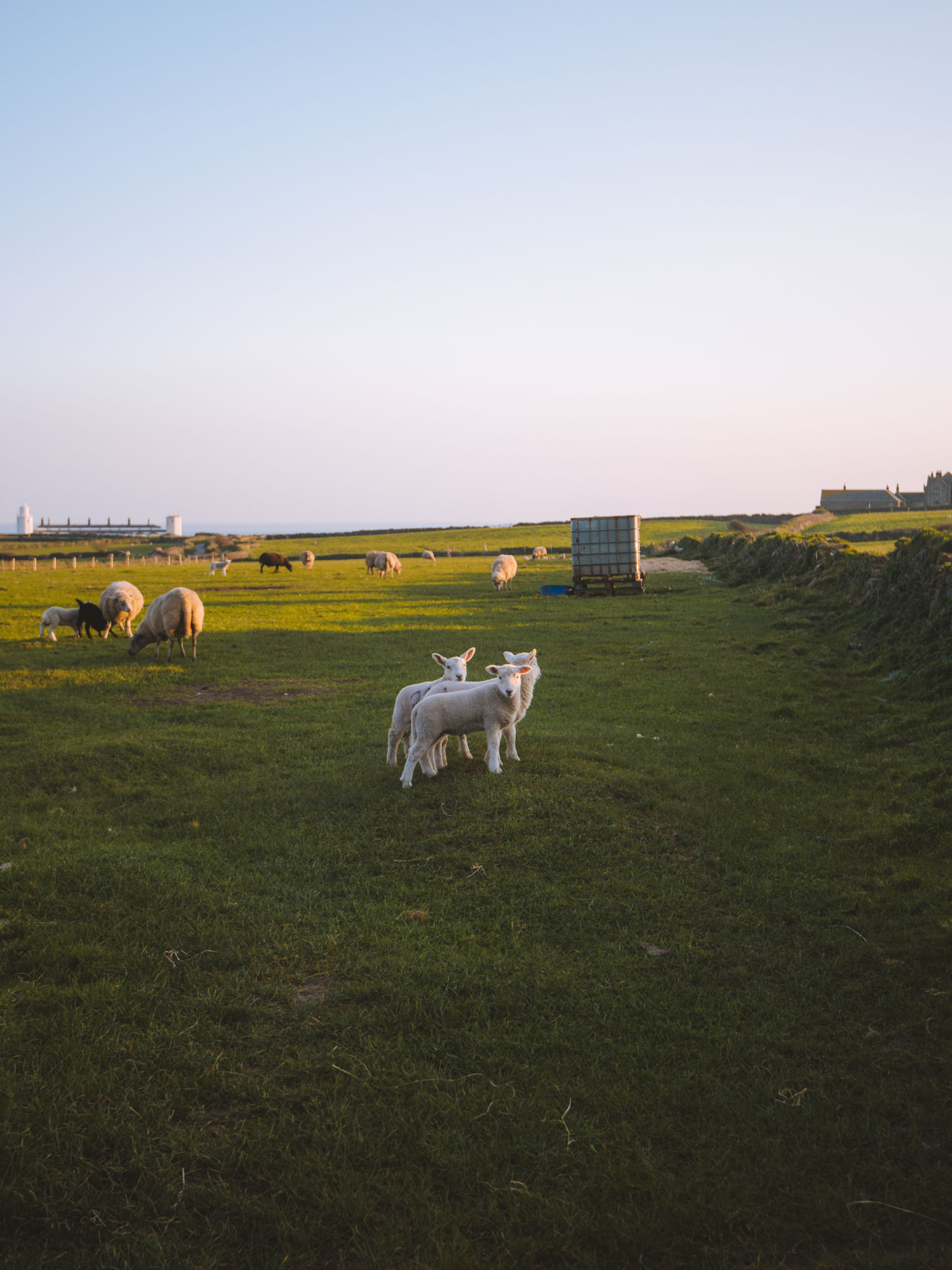 7-Day Road trip to Cornwall: Itinerary